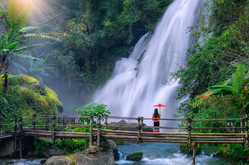 [NO옵션NO쇼핑] 제주항공치앙마이 1일자유+도이인타논+칸톡디너쇼 5일 - 네이버 티켓·패키지 여행