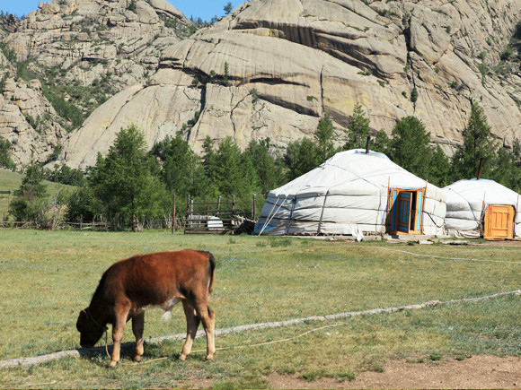 [부산-몽골 5일][BEST] 7C 울란바토르+테를지+승마체험+민속공연 포함 - 네이버 티켓·패키지 여행