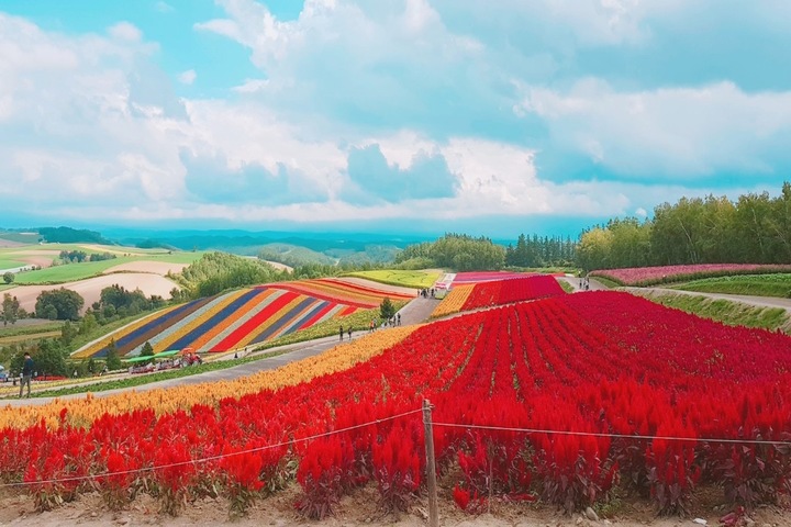 부산[7C][꽉찬일정] [삿포로3박][팜도미타/청의호수/흰수염폭포] 노보리베츠/비에이/후라노/삿포로 4일 - 네이버 티켓·패키지 여행